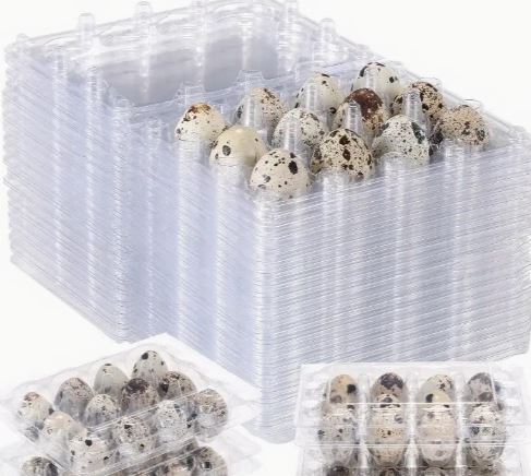 Quail Egg Tray (12) – Rough-Tech